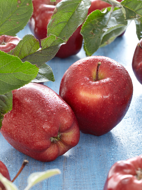 Apfel 'Red Delicious' / Roter Köstlicher